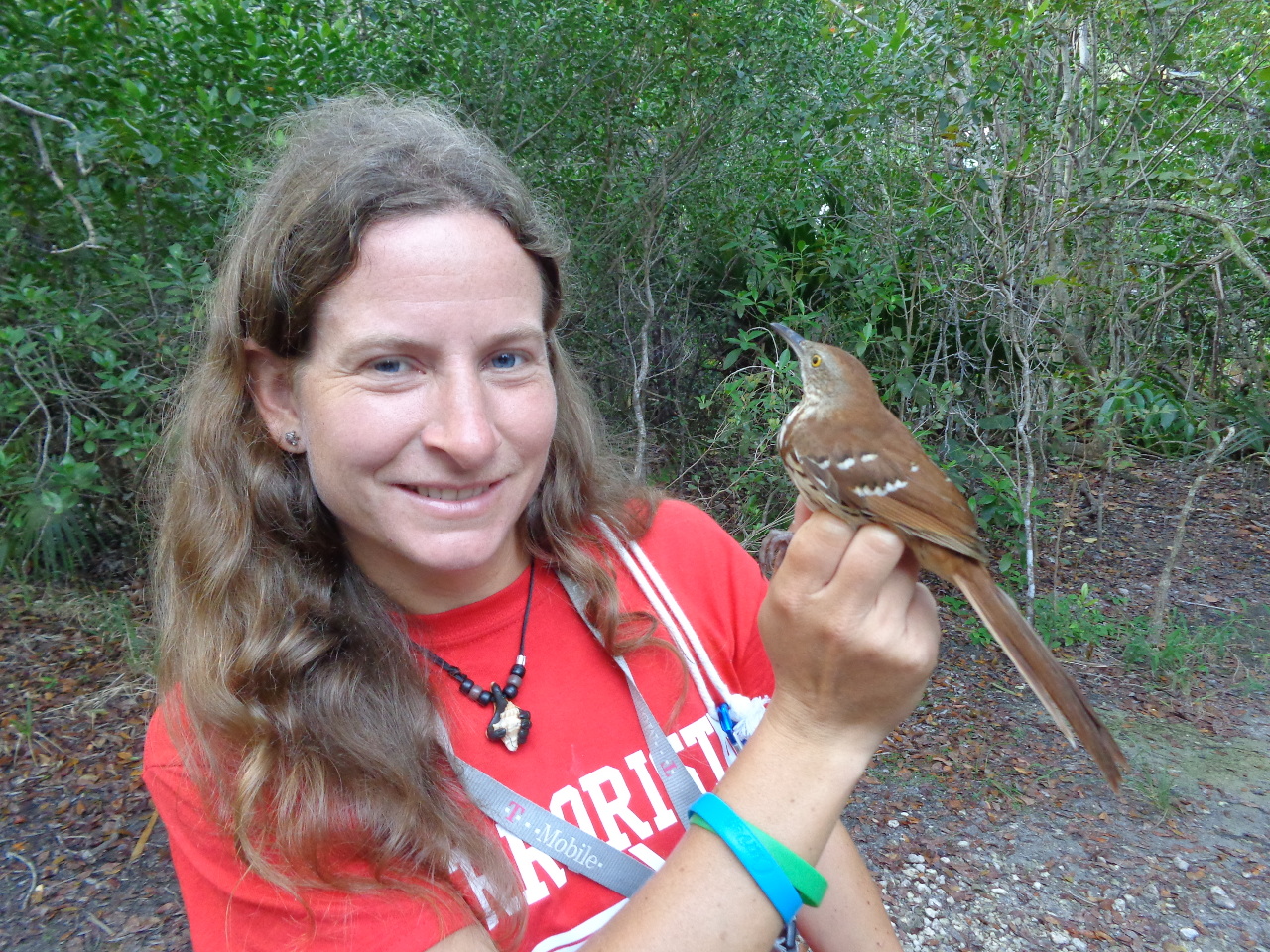 Ringmærkere og observatører